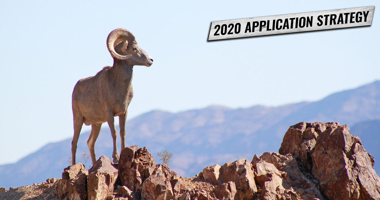 APPLICATION STRATEGY 2020: Nevada Sheep and Mountain Goat // GOHUNT. The Hunting Company