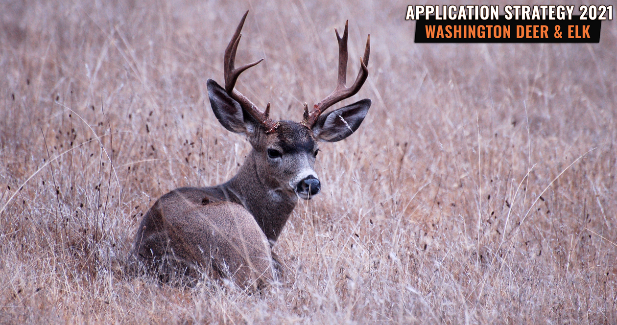 APPLICATION STRATEGY 2021: Washington Deer and Elk // GOHUNT. The Hunting Company