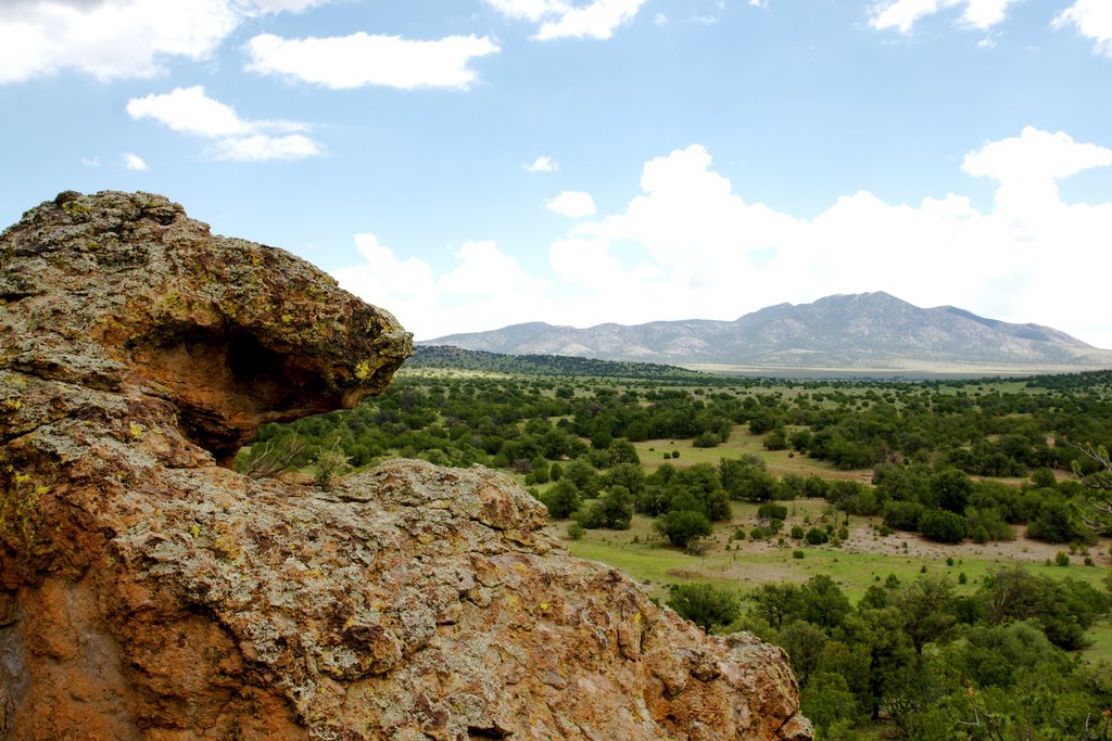 New Mexico Unit 15 Unit Profile // GOHUNT. The Hunting Company