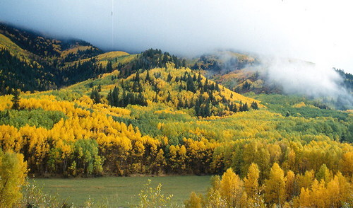 Colorado Unit 74 Unit Profile // GOHUNT. The Hunting Company