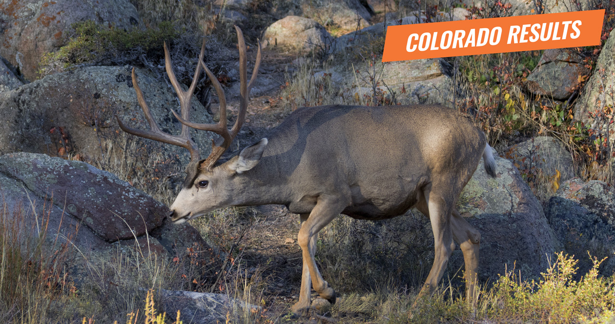 Get your 2018 Colorado deer and antelope results early - but it takes ...