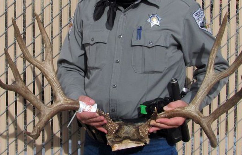 Trophy mule deer poached // GOHUNT. The Hunting Company