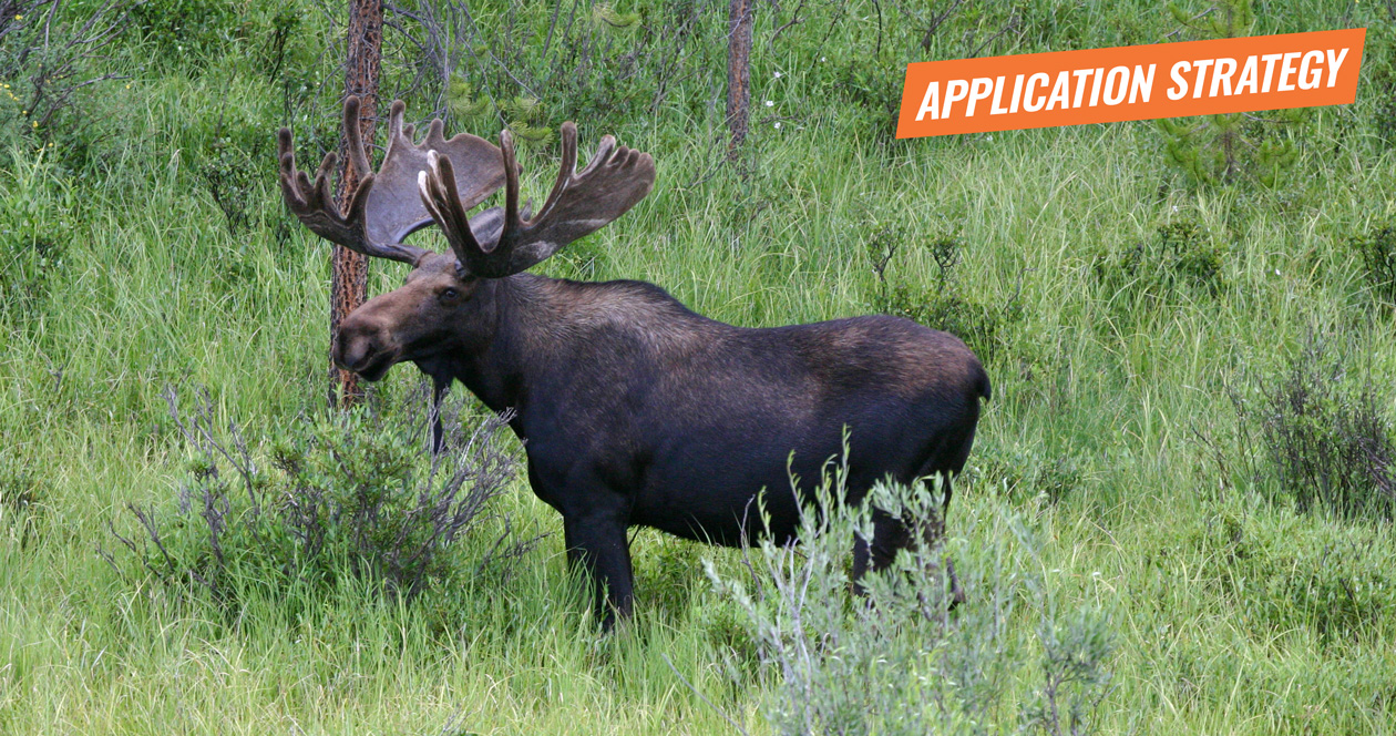 APPLICATION STRATEGY 2018: Idaho Sheep, Moose, Goat // GOHUNT. The Hunting Company