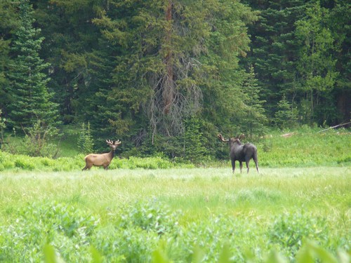 Colorado Unit 214 Unit Profile // GOHUNT. The Hunting Company