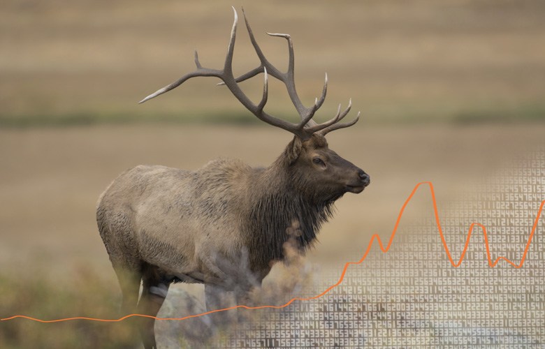 APPLICATION STRATEGY 2017: Colorado Elk and Antelope // GOHUNT. The ...