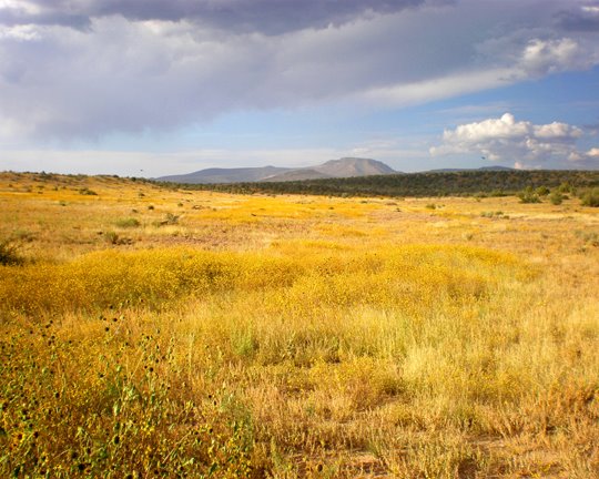 Arizona Unit 19B Unit Profile // GOHUNT. The Hunting Company