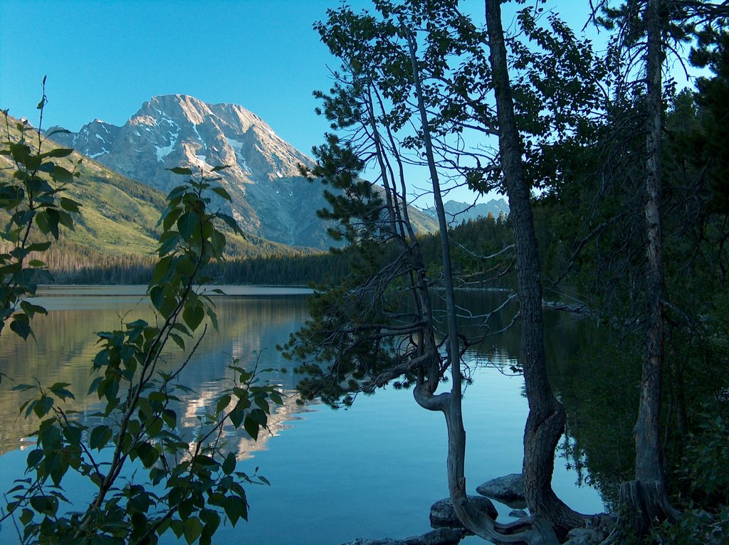 Wyoming Area 16 - Alta Unit Profile // GOHUNT. The Hunting Company