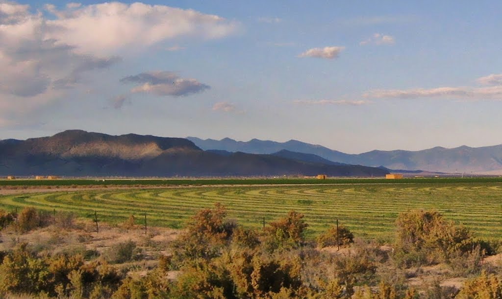 Colorado Unit S55 Unit Profile // GOHUNT. The Hunting Company