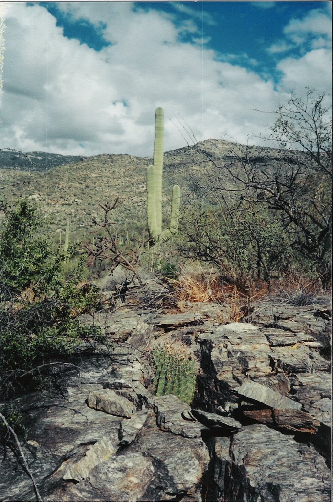 Arizona Unit 33 Unit Profile // GOHUNT. The Hunting Company