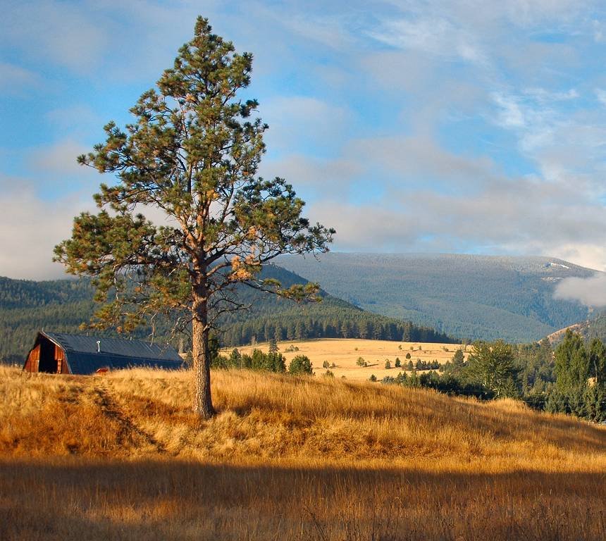 Montana Hunt District 204 Unit Profile // GOHUNT. The Hunting Company