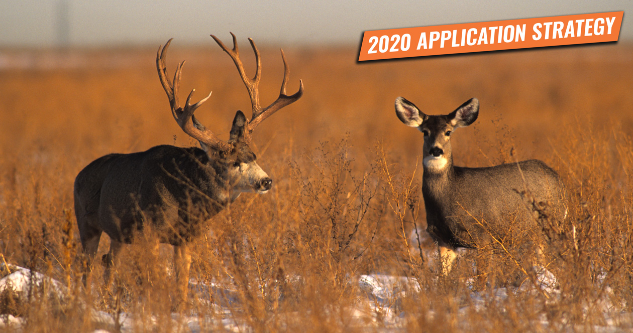APPLICATION STRATEGY 2020: Wyoming Deer and Antelope // GOHUNT. The Hunting Company
