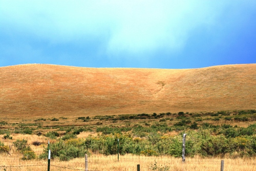 Colorado Unit 13 Unit Profile // GOHUNT. The Hunting Company