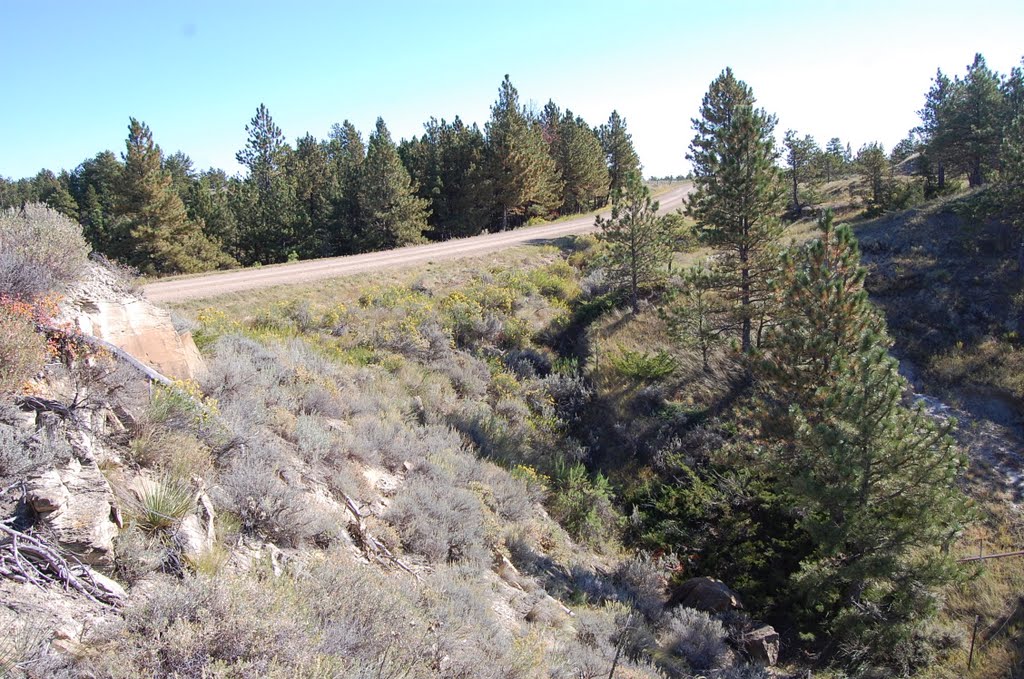 Montana Hunt District 426 Unit Profile // GOHUNT. The Hunting Company