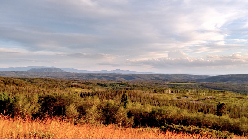 I am severely allergic to hunting // GOHUNT. The Hunting Company