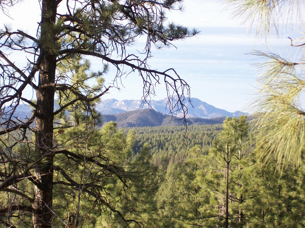 Arizona Unit 17B Unit Profile // GOHUNT. The Hunting Company