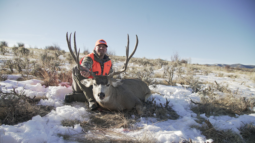 Insider gives years of application knowledge in one easy to use place ...