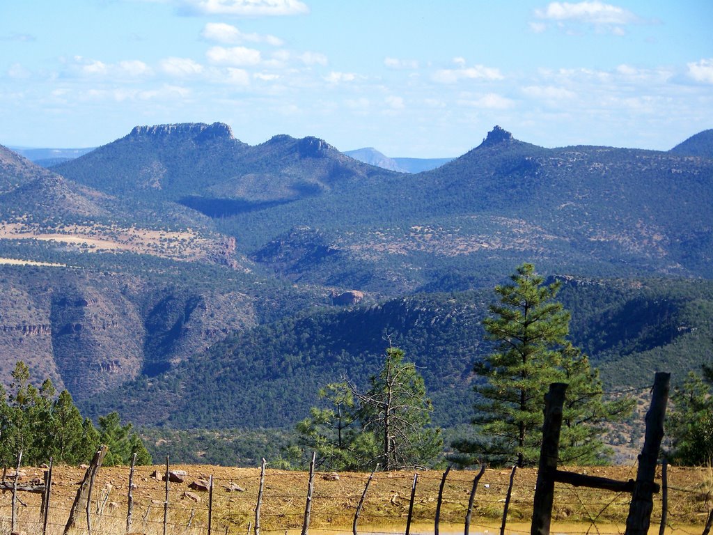 Arizona Unit 23 Unit Profile // GOHUNT. The Hunting Company