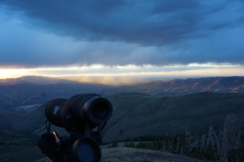 Elk lessons from the Jarbidge // GOHUNT. The Hunting Company