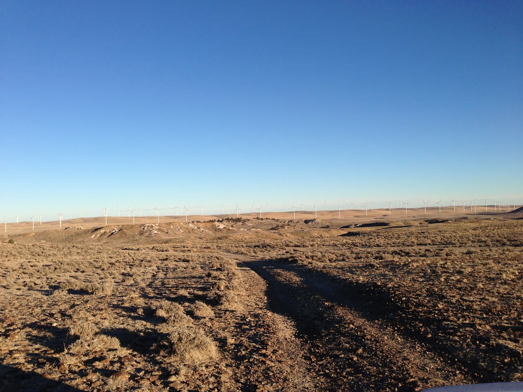 Wyoming Area 26 - Bear Creek Unit Profile // GOHUNT. The Hunting Company