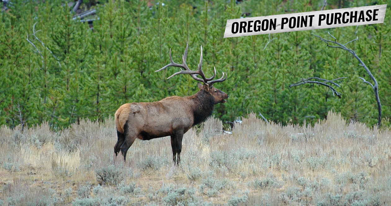 How to purchase Oregon preference points — a step-by-step guide ...