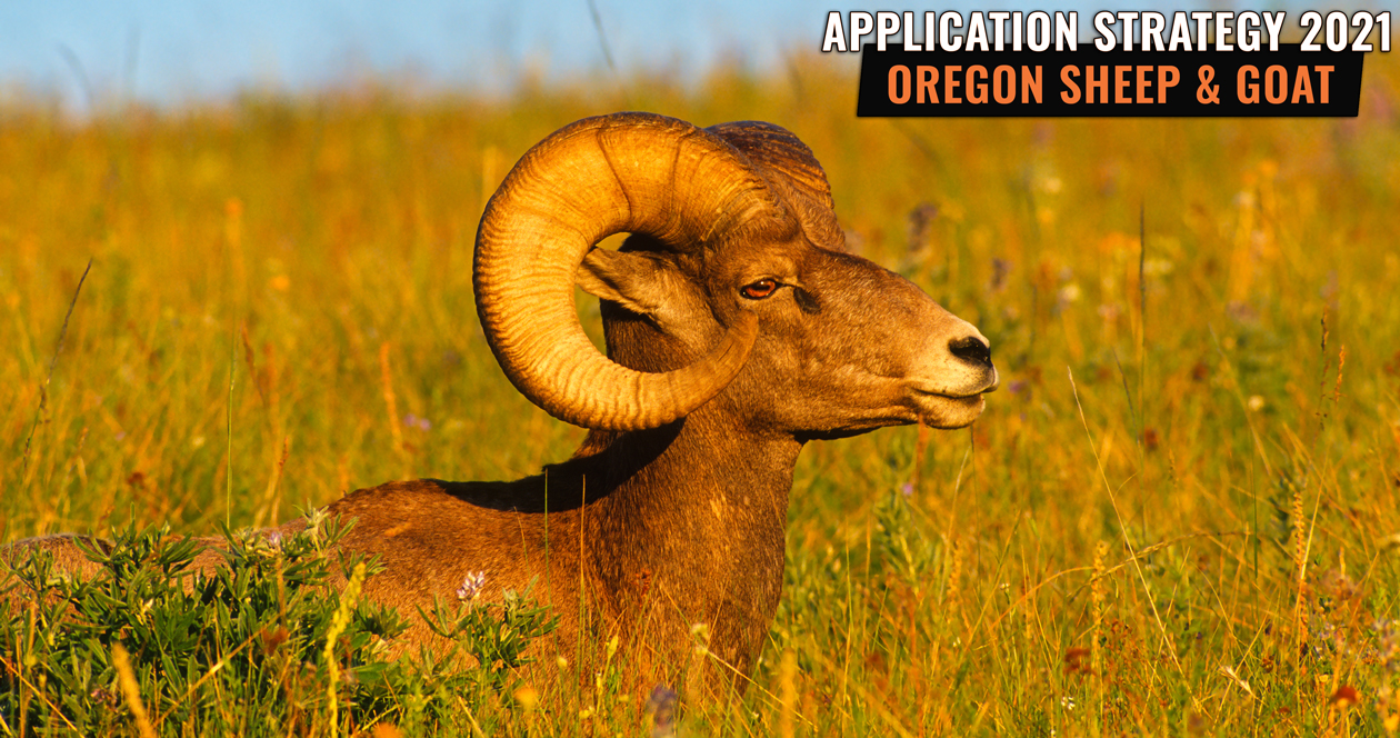 APPLICATION STRATEGY 2021: Oregon Bighorn Sheep and Mountain Goat ...