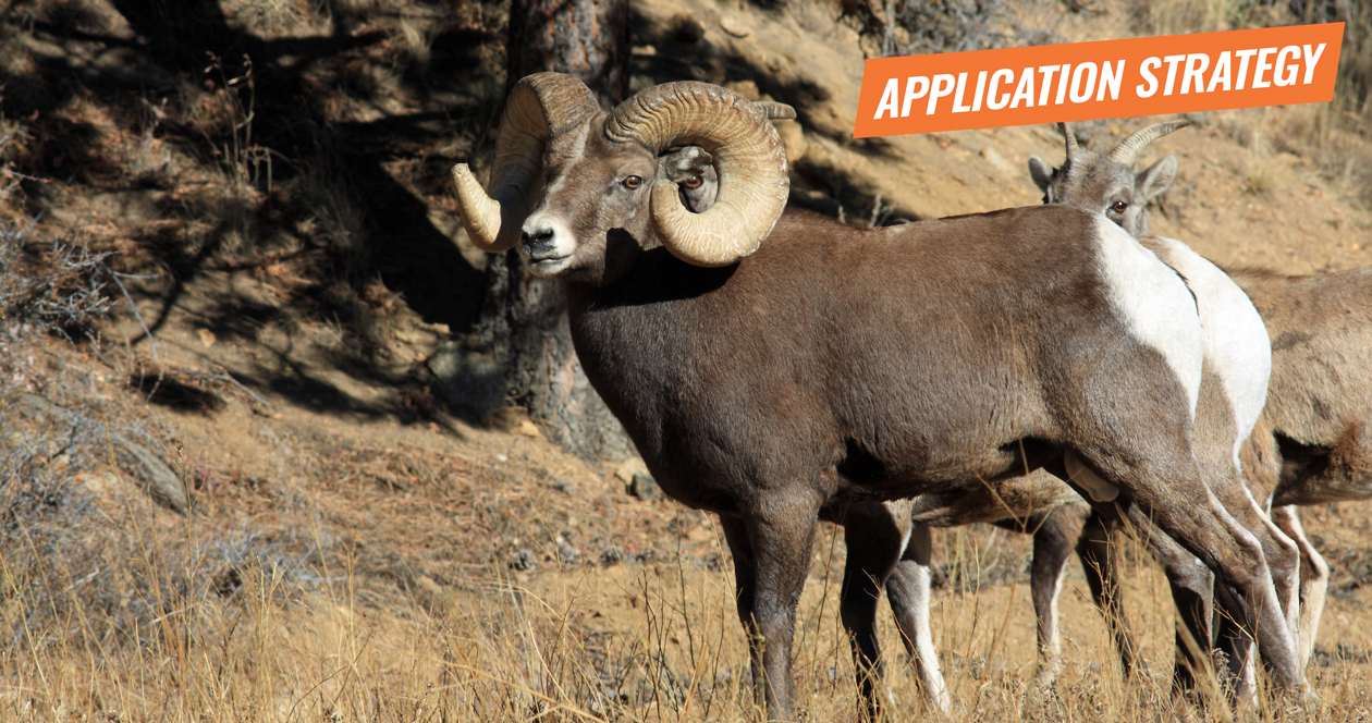 APPLICATION STRATEGY 2018: Montana Sheep, Moose, Goat, Bison // GOHUNT. The Hunting Company