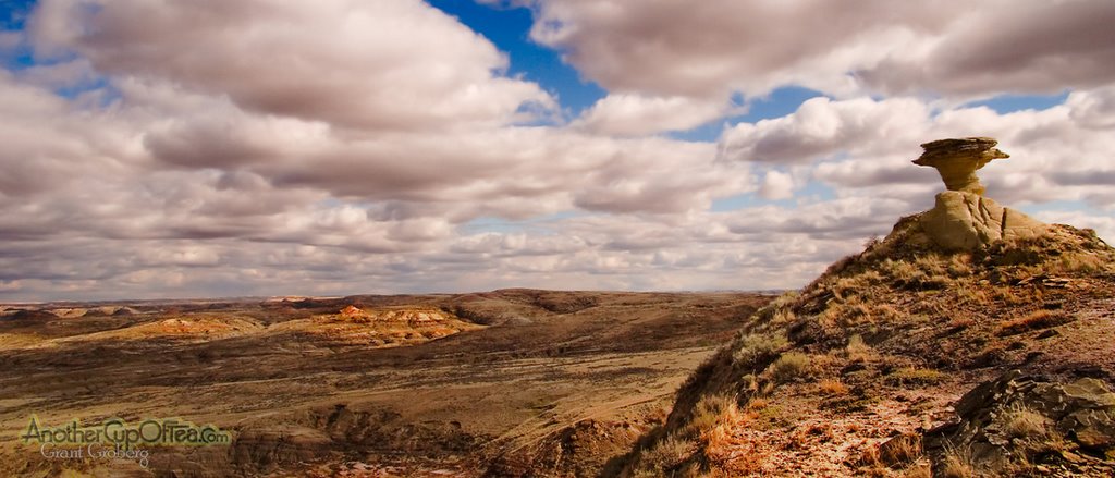 Montana Hunt District 701 Unit Profile - 18 Hunters are talking about ...