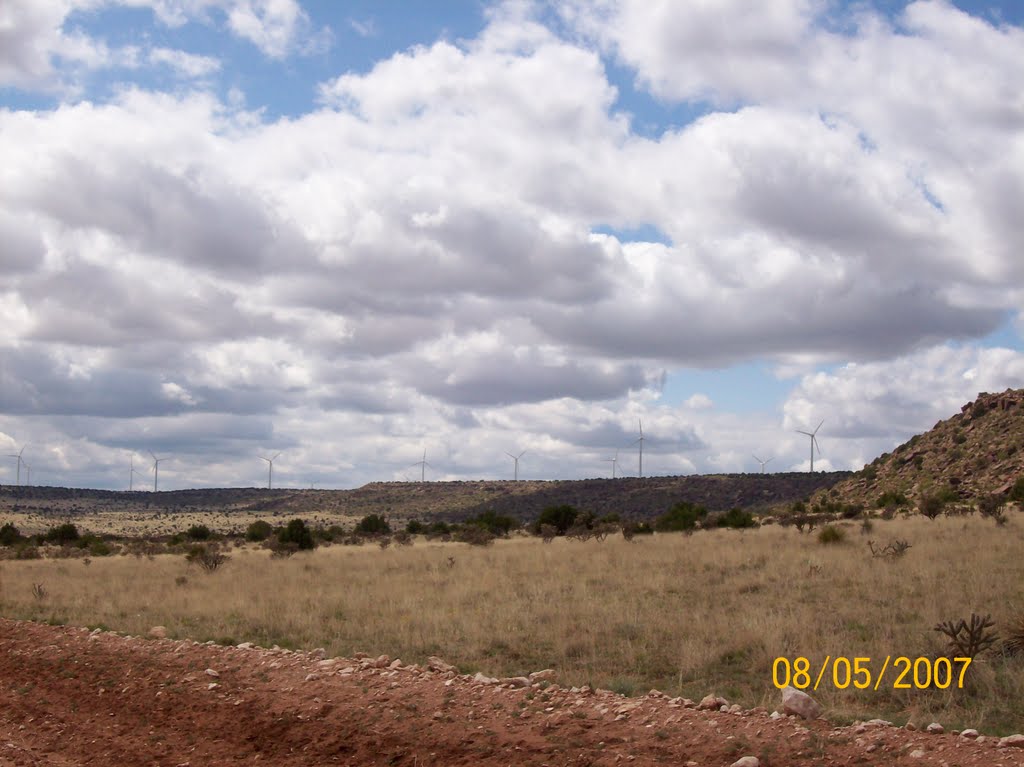 New Mexico Unit 39 Unit Profile - 2 Hunters are talking about this Unit ...