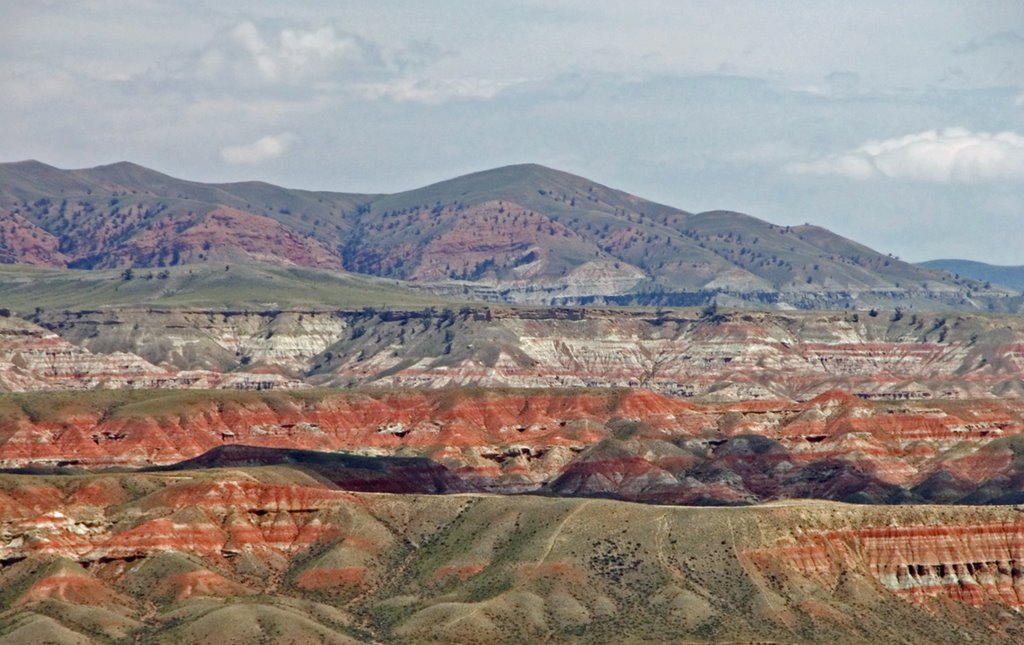 Wyoming Area 84 - Wind River Unit Profile // GOHUNT. The Hunting Company