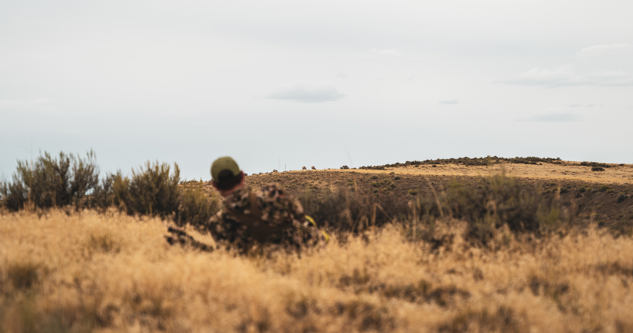 Antelope strategies for pre-rut and rut // GOHUNT. The Hunting Company