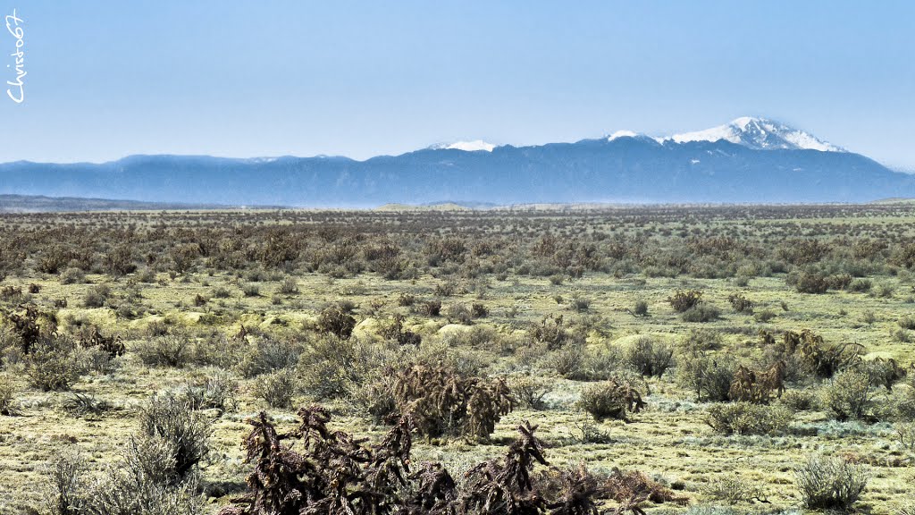 Colorado Unit 123 Unit Profile - 7 Hunters are talking about this Unit ...
