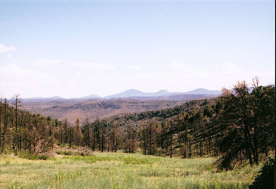 New Mexico Unit 55A Unit Profile // GOHUNT. The Hunting Company