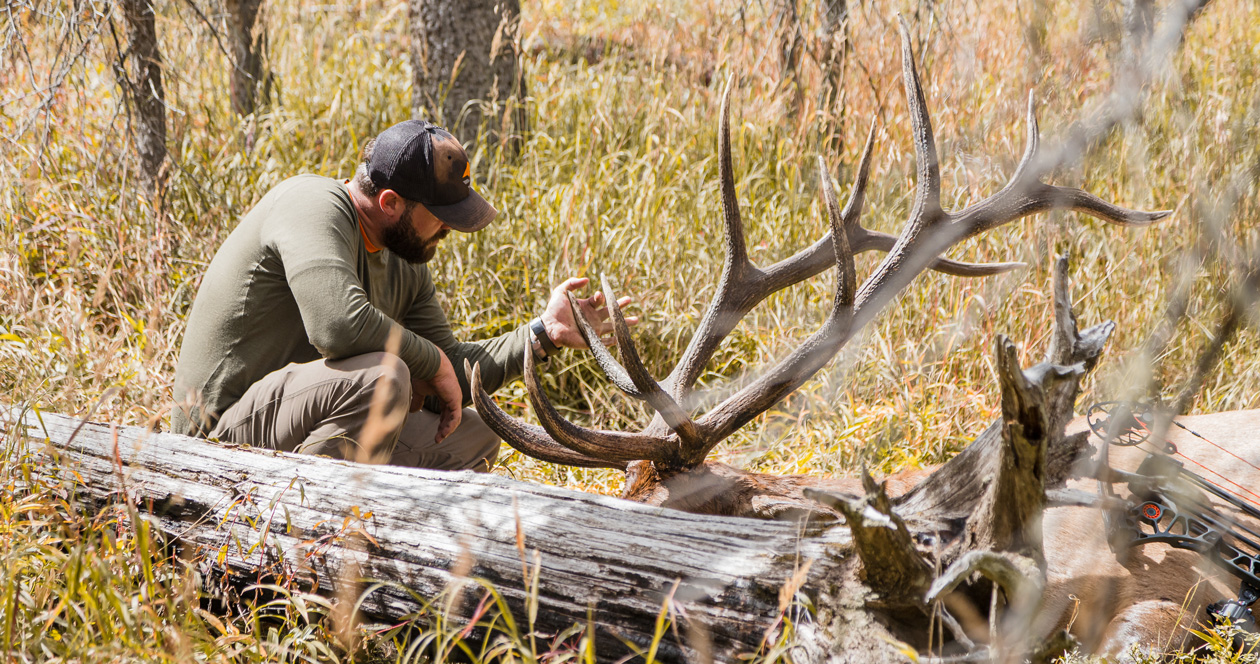 Planning your 2019 archery elk hunt by using the moon and equinox ...