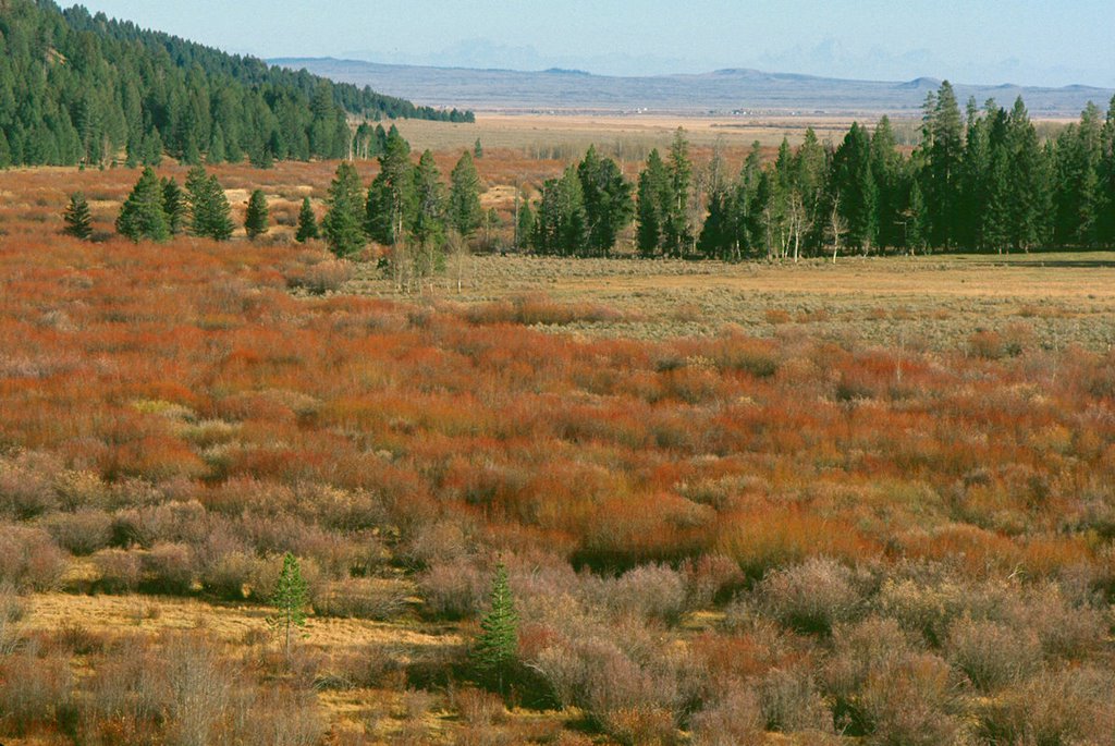 Montana Hunt District 334 Unit Profile // GOHUNT. The Hunting Company