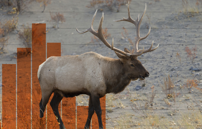 APPLICATION STRATEGY 2017: Nevada Deer, Elk, Antelope // GOHUNT. The Hunting Company