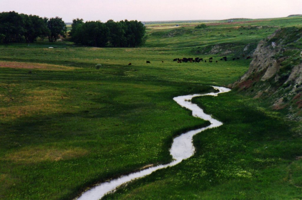 Colorado Unit 102 Unit Profile // GOHUNT. The Hunting Company