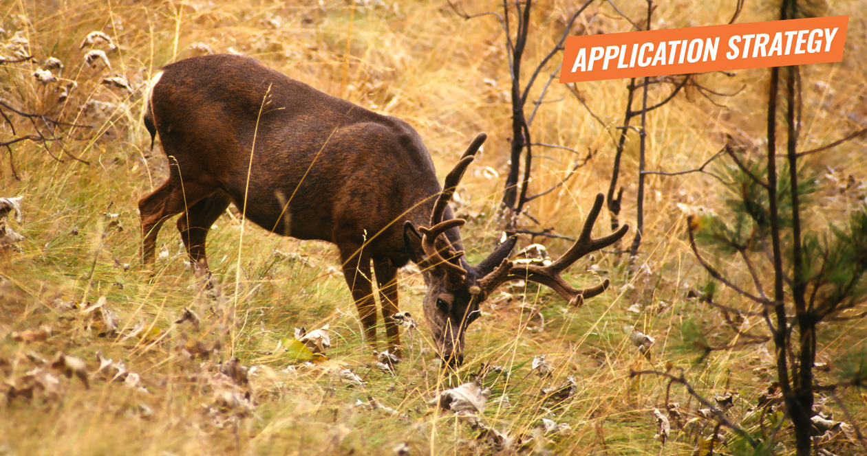 APPLICATION STRATEGY 2018: California Deer and Antelope // GOHUNT. The Hunting Company