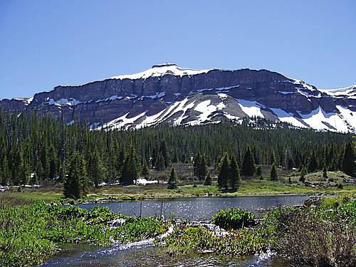 Colorado Unit 26 Unit Profile // GOHUNT. The Hunting Company