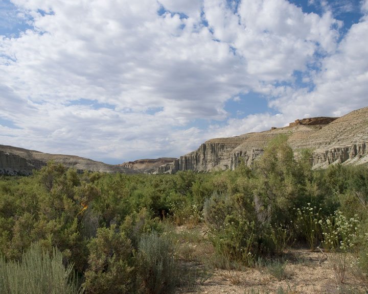 Utah Book Cliffs, Bitter Creek East Unit Profile // GOHUNT. The Hunting ...