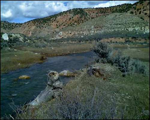 Colorado Unit 211 Unit Profile // GOHUNT. The Hunting Company