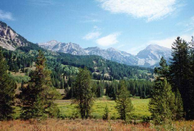 Wyoming Area 84 - Lower Hoback Unit Profile // GOHUNT. The Hunting Company