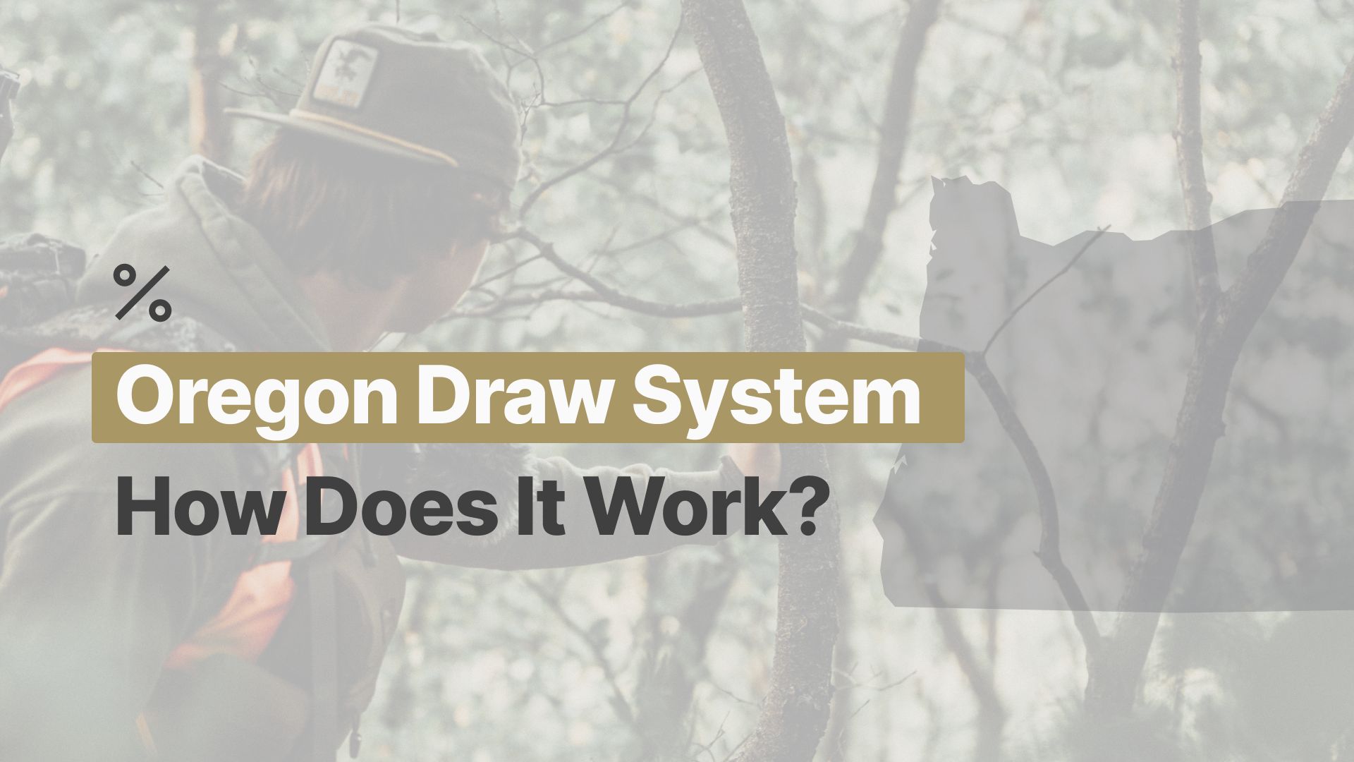 How does the Oregon draw system work for hunts, and hunting ...
