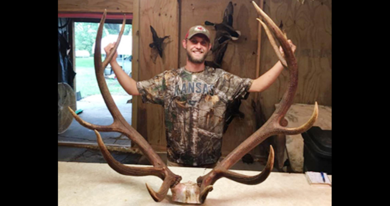 New state record bull elk in Kansas? // GOHUNT. The Hunting Company