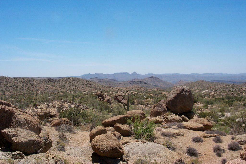 Arizona Unit 16A Unit Profile // GOHUNT. The Hunting Company