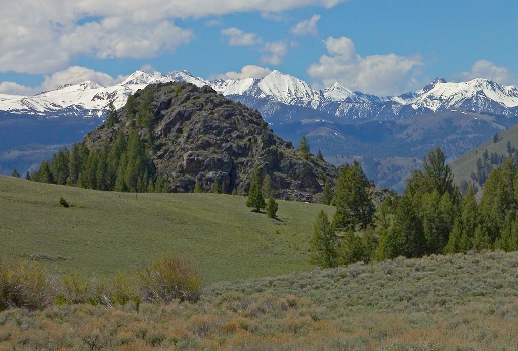 Idaho Unit 36A Unit Profile // GOHUNT. The Hunting Company