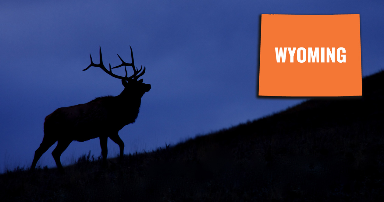 How to look up your Wyoming preference points // GOHUNT. The Hunting ...