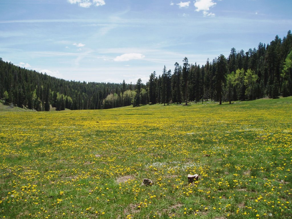 Colorado Unit 751 Unit Profile // GOHUNT. The Hunting Company