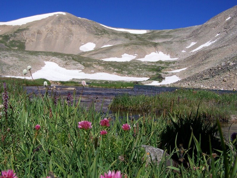 Colorado Unit 49 Unit Profile - 167 Hunters are talking about this Unit ...