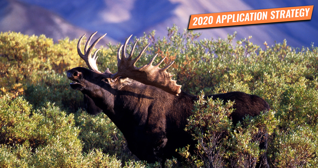 APPLICATION STRATEGY 2020: Colorado Sheep, Moose, and Mountain Goat // GOHUNT. The Hunting Company