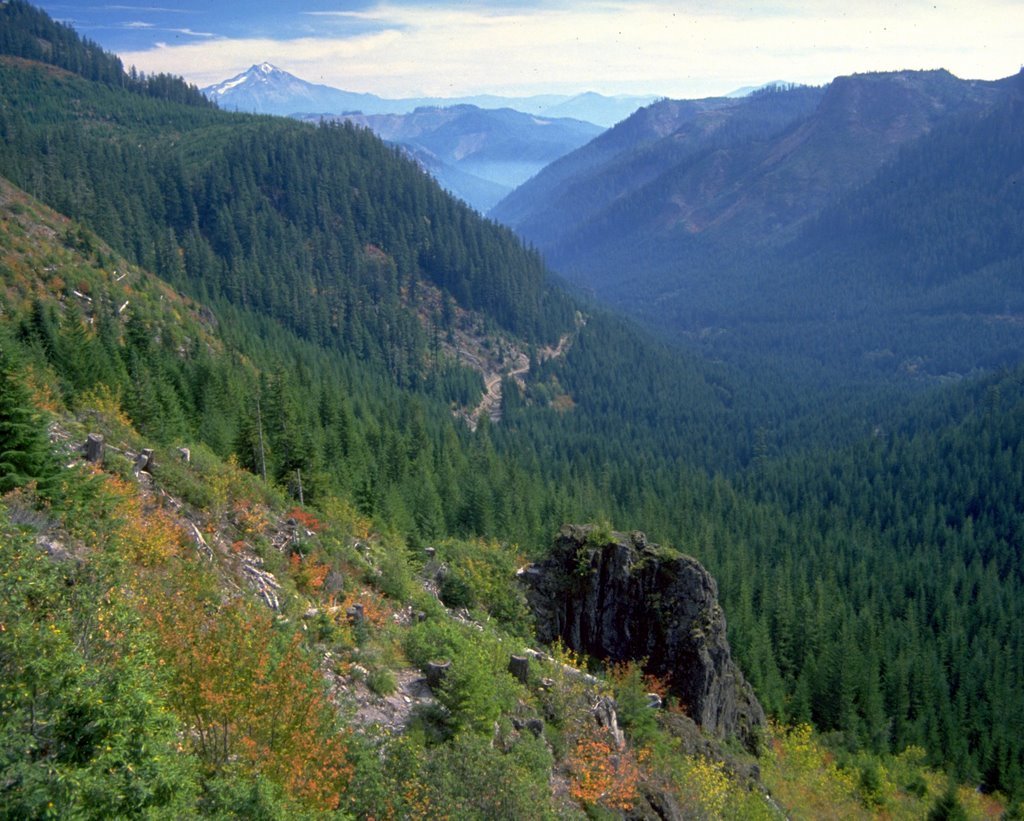 Oregon Unit 16 - Santiam Unit Profile // GOHUNT. The Hunting Company